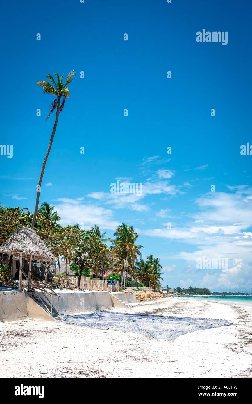 Paje beach on zanzibar hi-res stock photography and images - Alamy