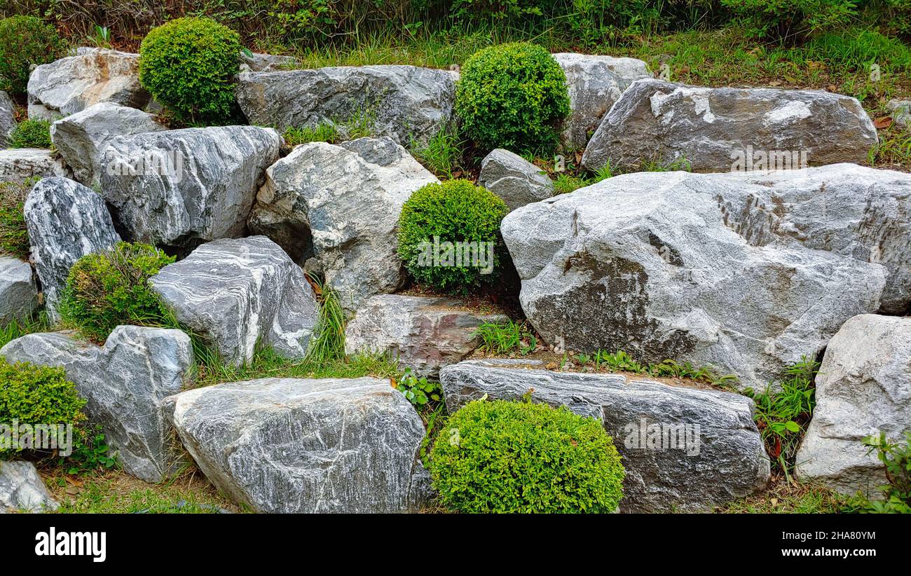 rocks and bushes - trimmed garden arrangement Stock Photo - Alamy