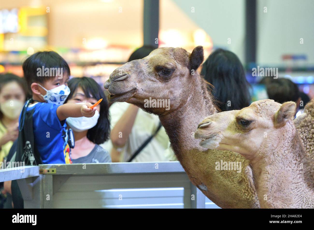 Seacon square in bangkok hi-res stock photography and images - Alamy
