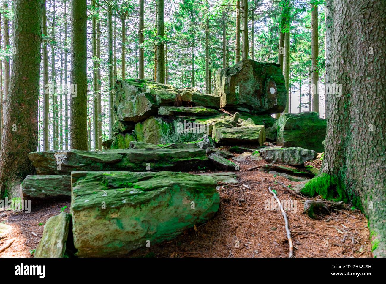 Hiking Hadriwa Highpath Bavarian Forest Lower Bavaria Stock Photo - Alamy