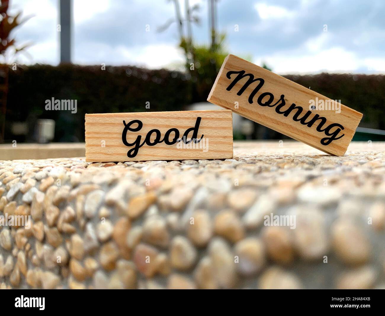 Wishing good morning text on wooden blocks with beautiful nature ...