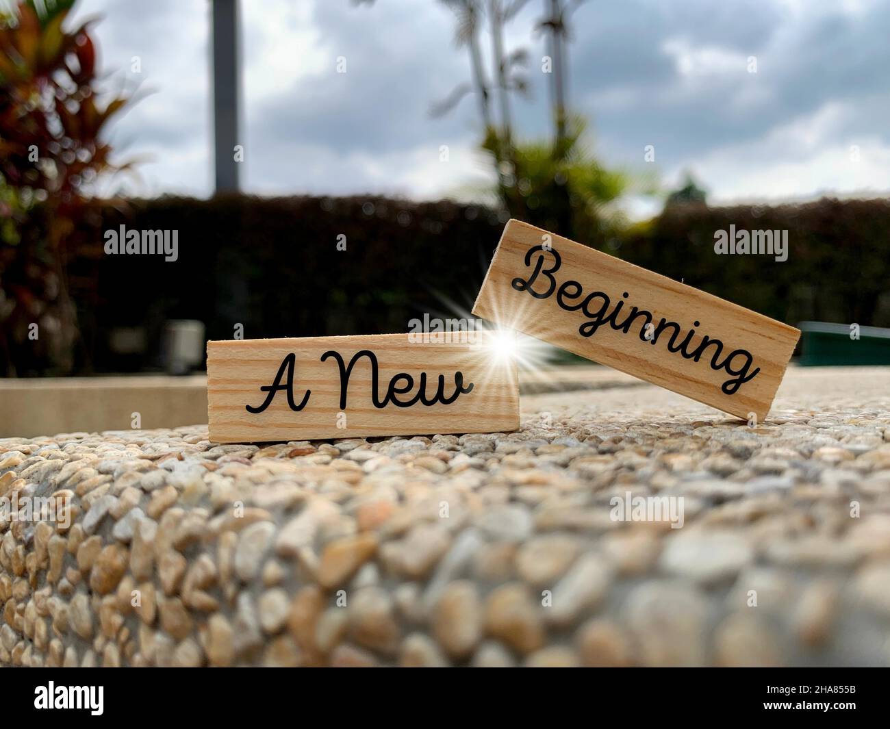 A new beginning text on wooden blocks with beautiful nature background ...