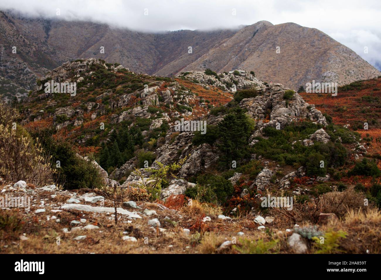 tops of mountain landscape in Europe Greece Taygetus Stock Photo - Alamy