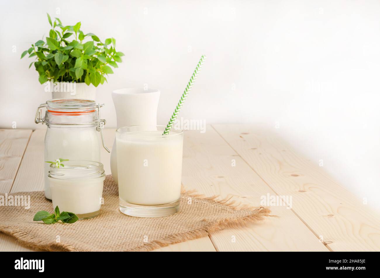 Dairy starter culture for the preparation of fermented milk products ...