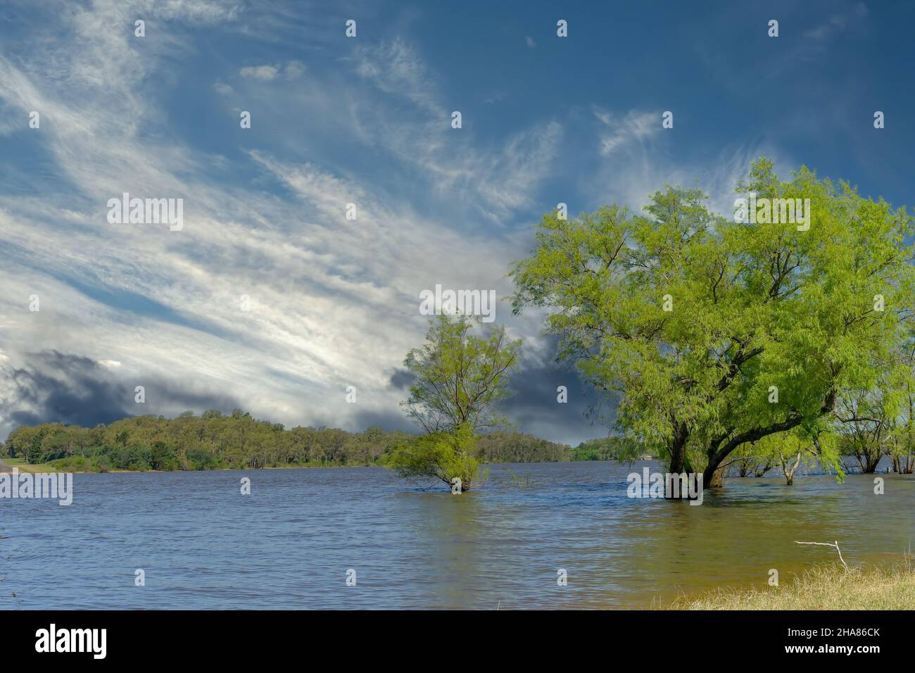 The Negro River is the most important river in the interior of Uruguay ...