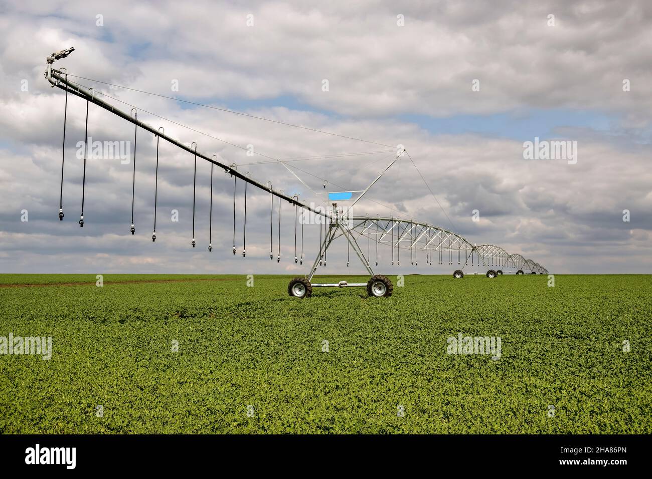 Agriculture: Crop Irrigation. Automated farming irrigation system on ...