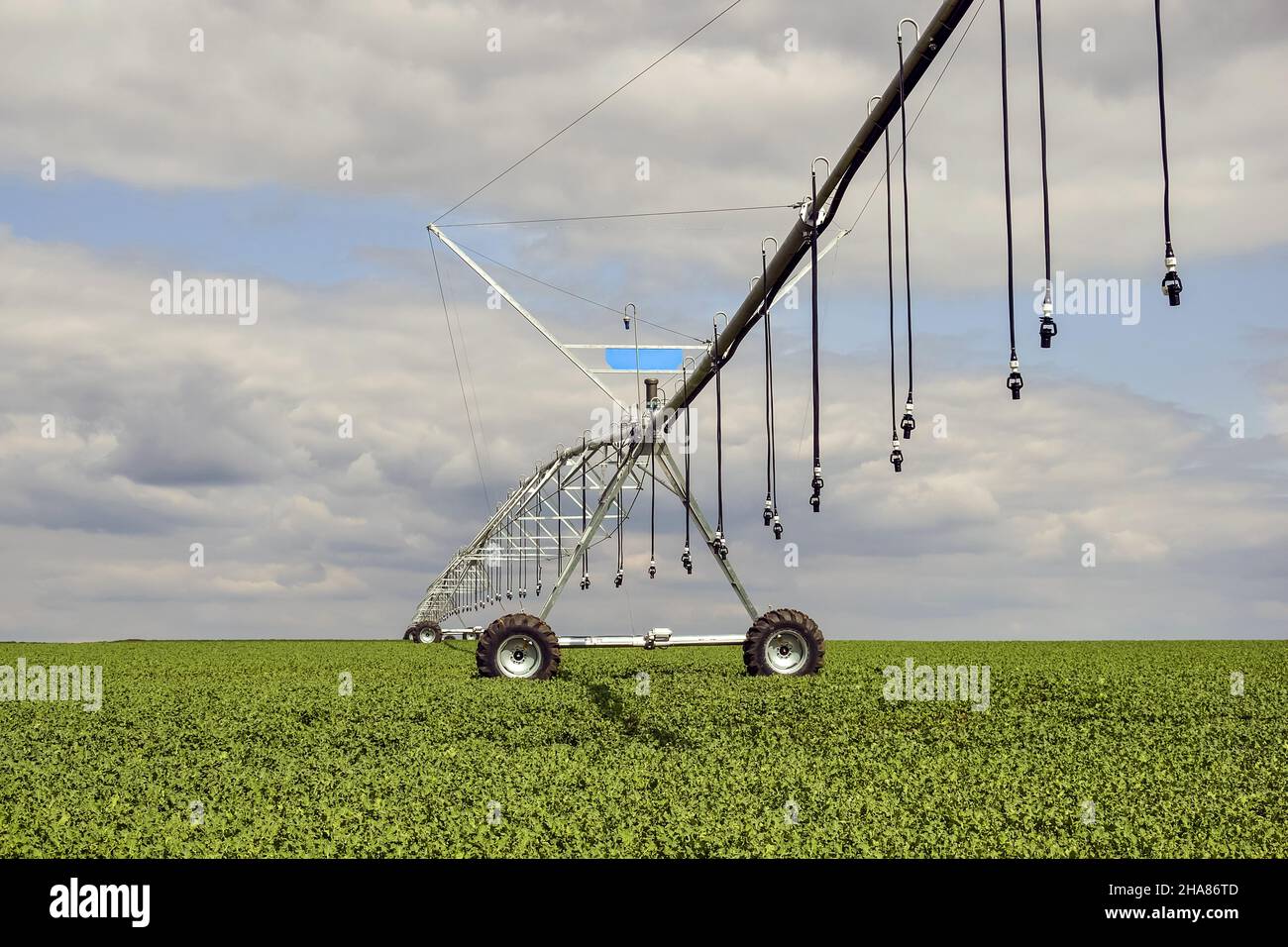 Agriculture: Crop Irrigation. Automated farming irrigation system on ...