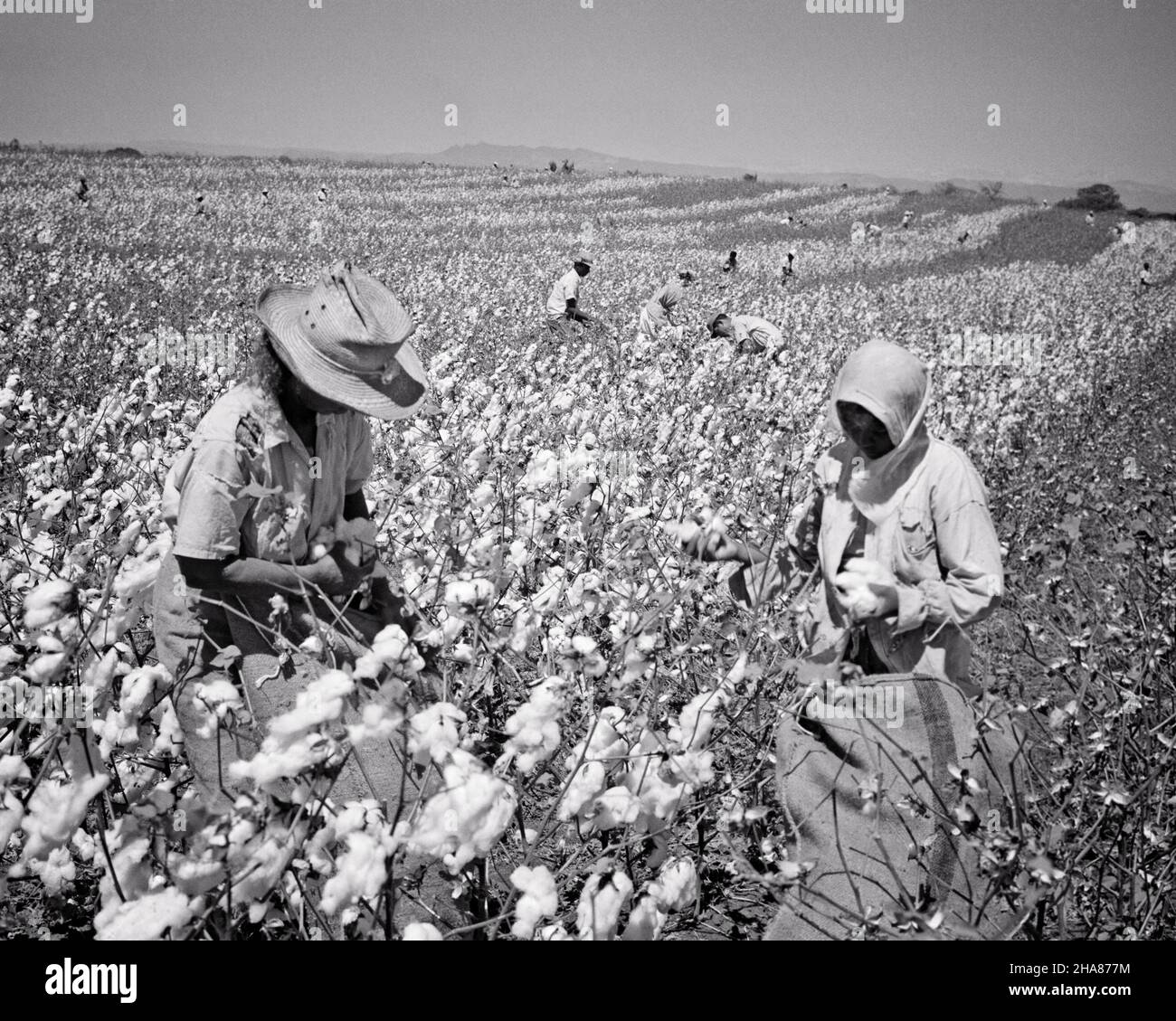 Work stress america black white hi-res stock photography and images - Alamy