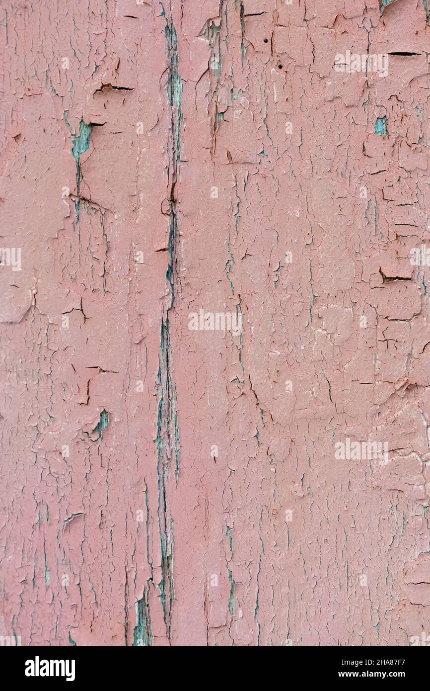 Wooden pink door with flaked paint, texture background Stock Photo - Alamy