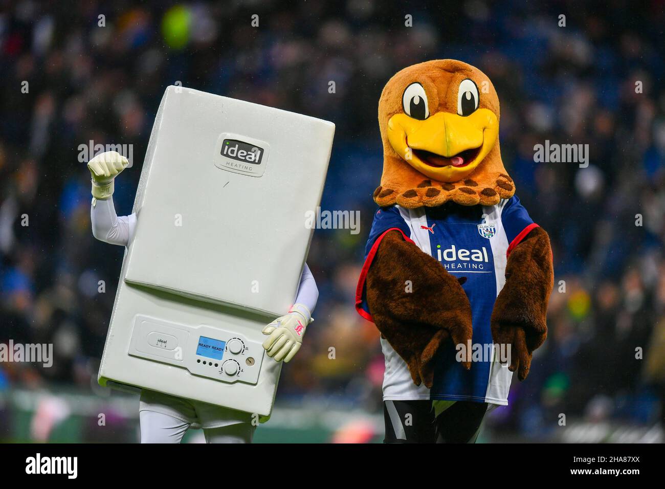 Efl mascots hi-res stock photography and images - Alamy