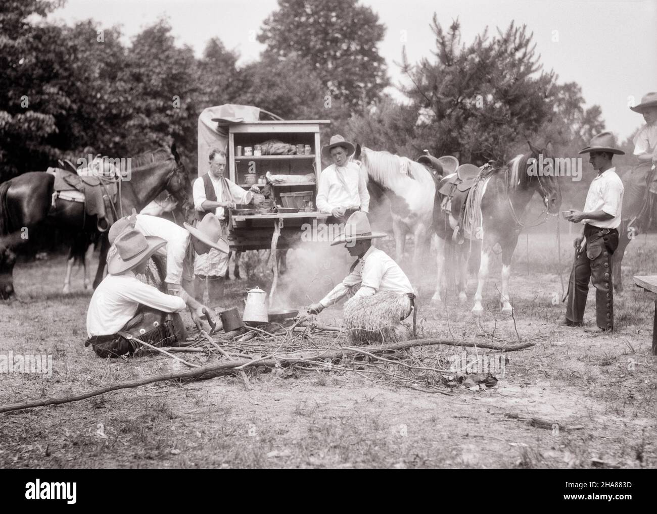 1920s cattle hi-res stock photography and images - Alamy