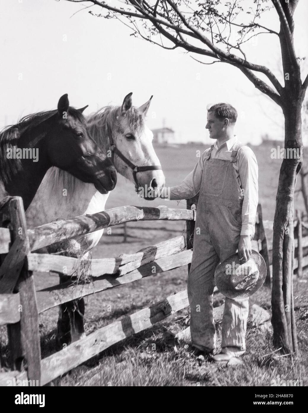 1920s MAN FARMER WEARING OVERALLS STANDING BY SPLIT RAIL FENCE AROUND ...
