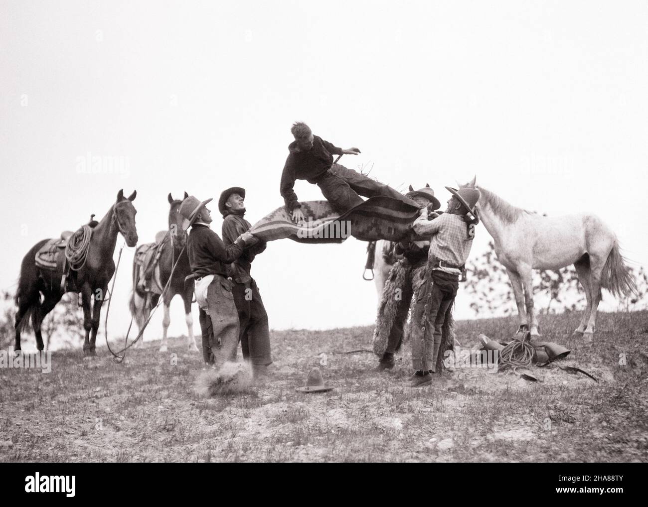 Frolic of the five animals hi-res stock photography and images - Alamy