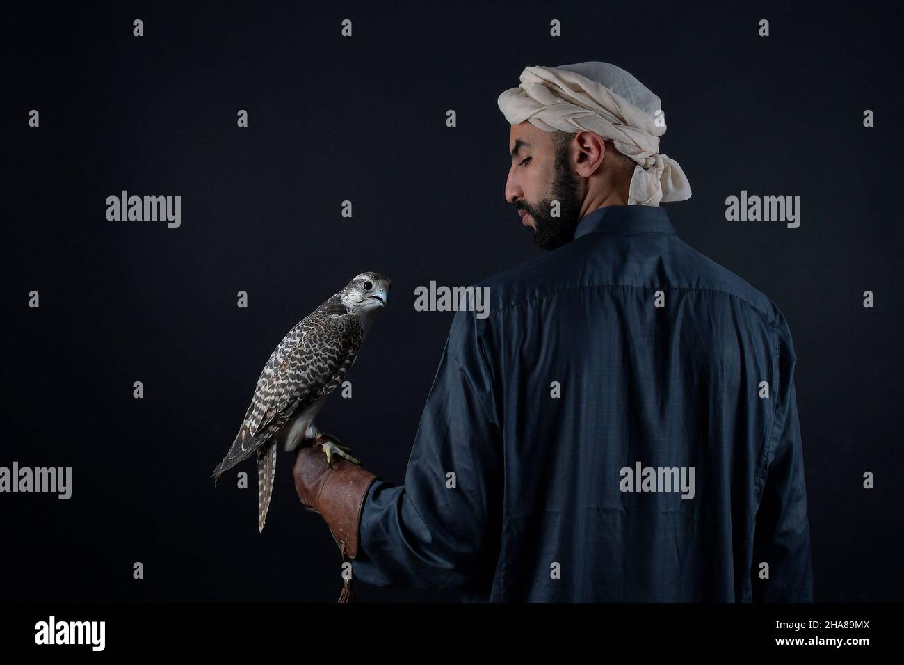 Young falconer holding a bird of prey Stock Photo - Alamy