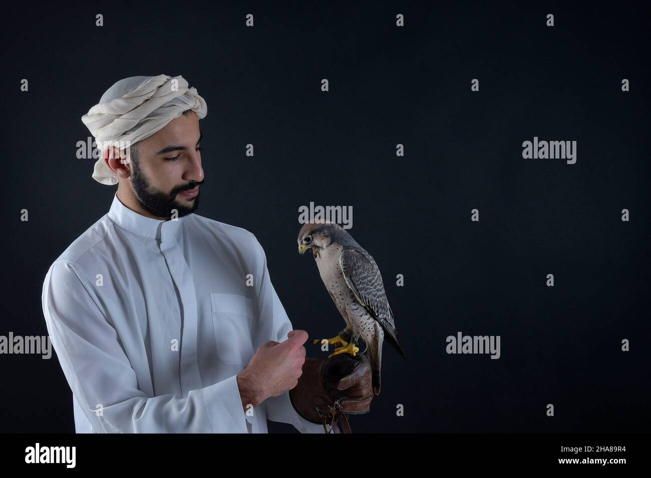 Young falconer holding a bird of prey Stock Photo - Alamy
