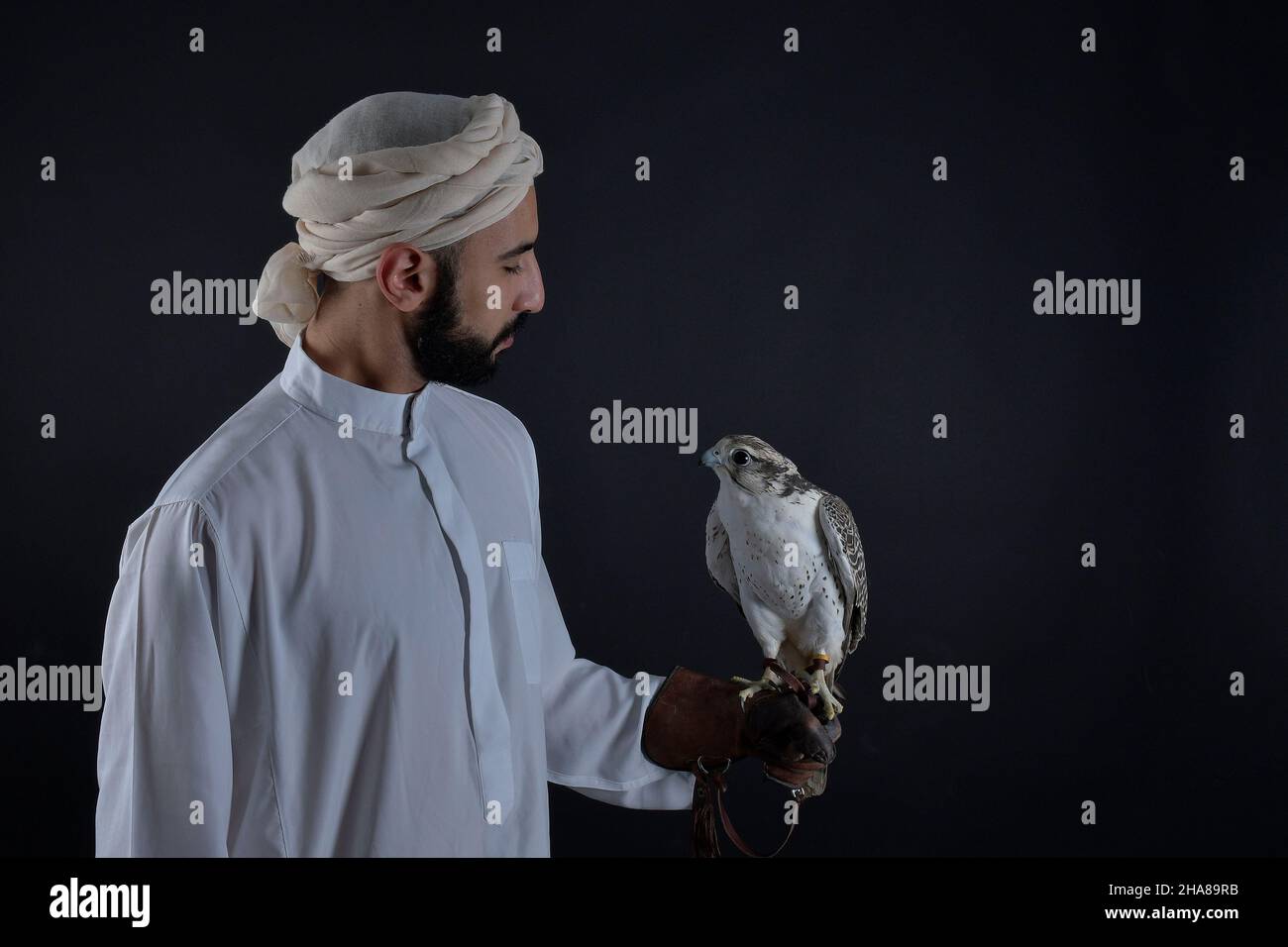 Young falconer holding a bird of prey Stock Photo - Alamy
