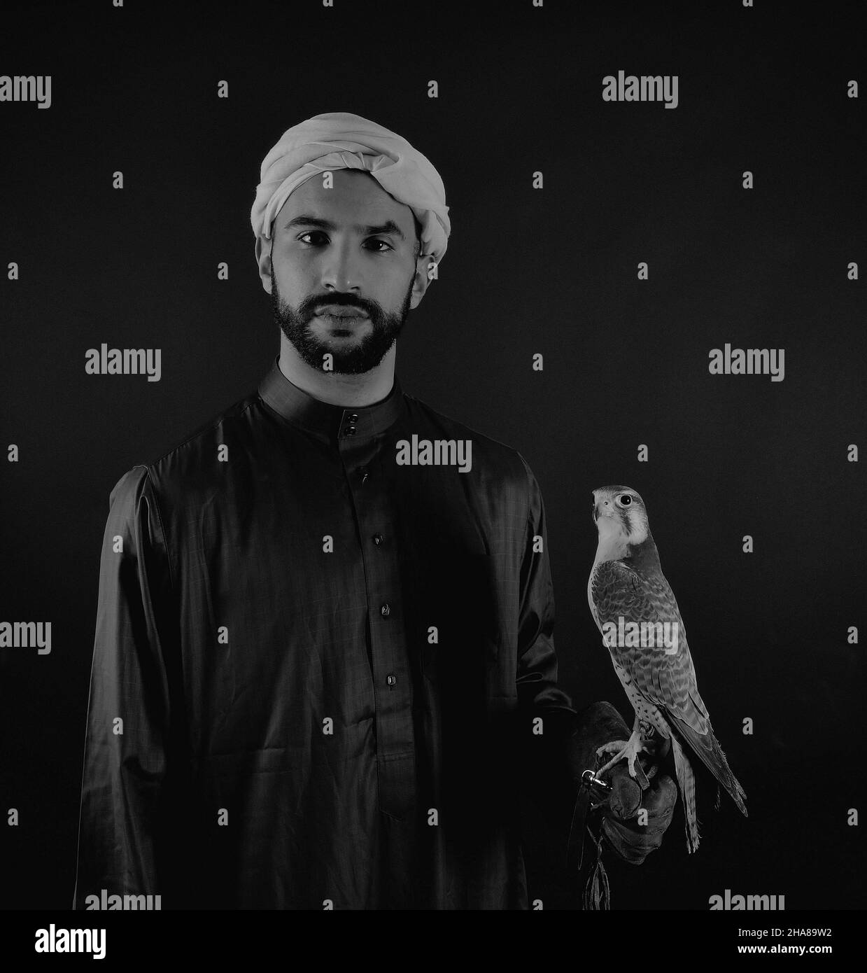 Young peregrine falcon Black and White Stock Photos & Images - Alamy