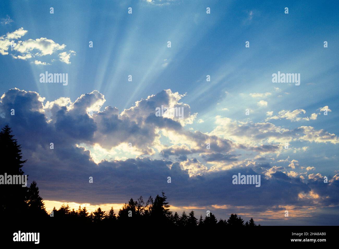 1990s CREPUSCULAR RAYS ALSO CALLED GOD RAYS SUNBEAMS SUNLIGHT SHINING ...
