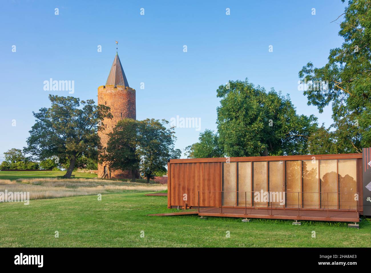 Vordingborg: Vordingborg Castle ruins (Vordingborg Slotsruin), Goose ...