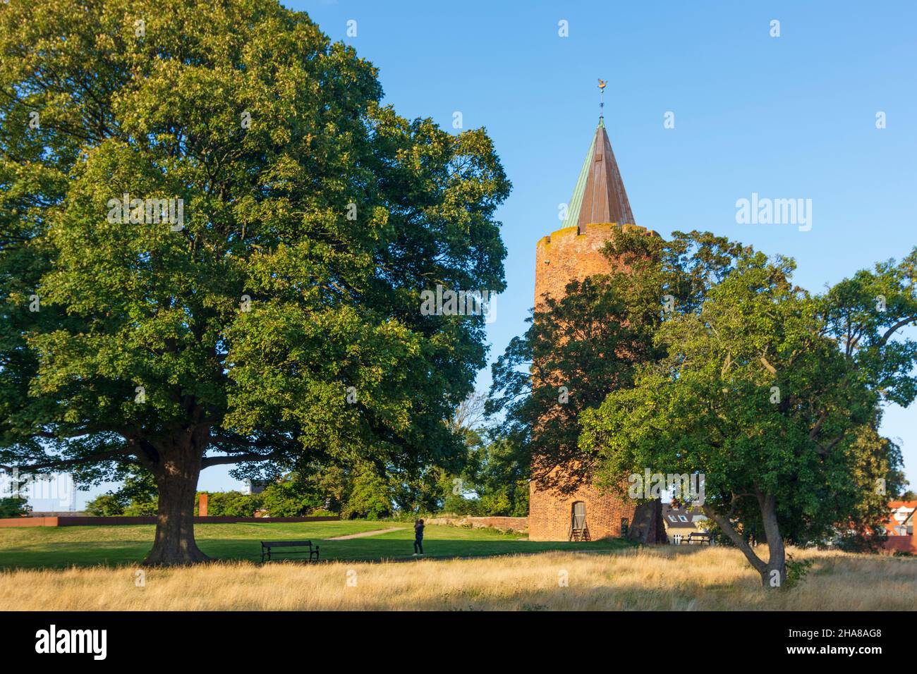 Vordingborg: Vordingborg Castle ruins (Vordingborg Slotsruin), Goose ...