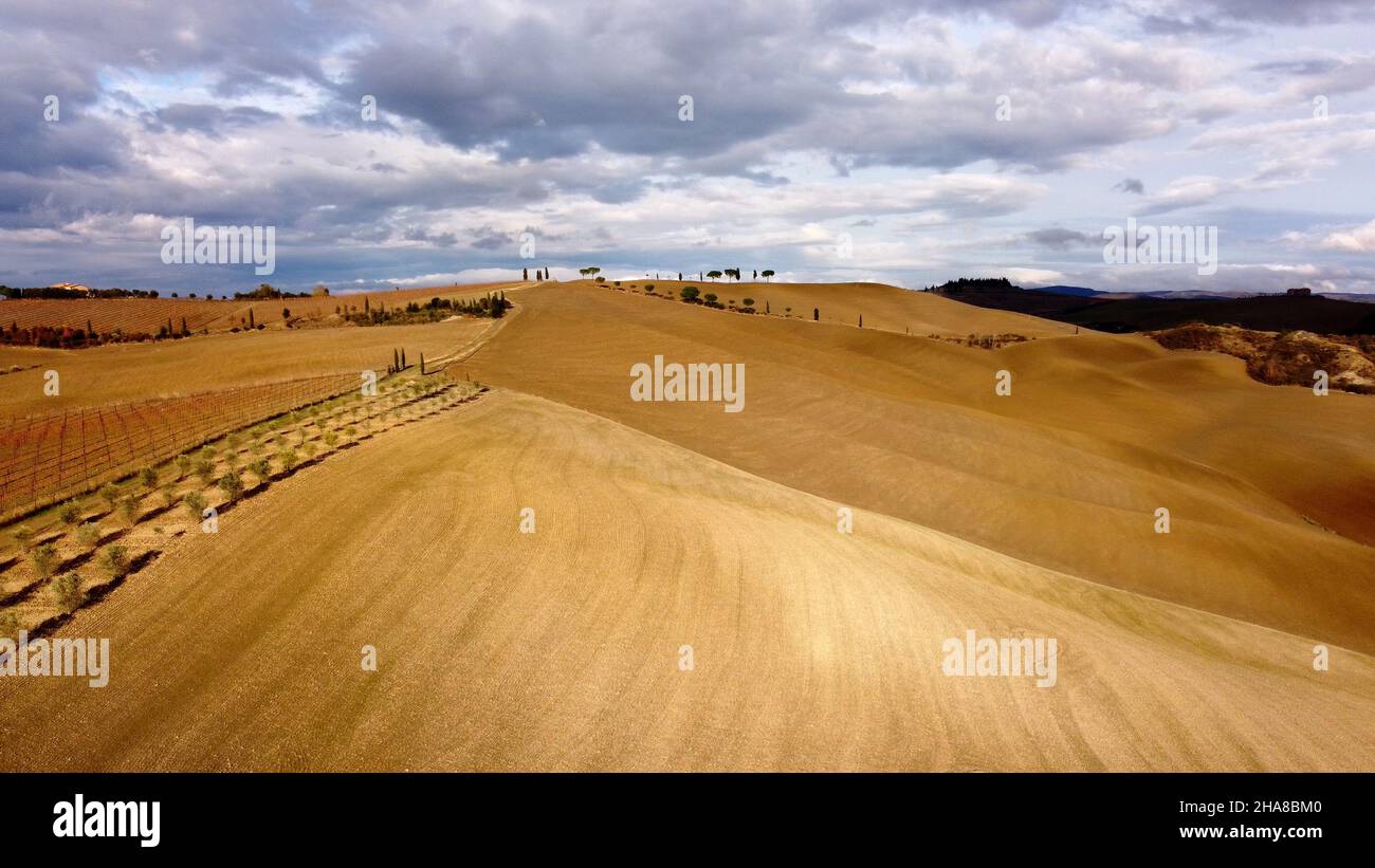Typical rural fields and landscape in Tuscany Italy Stock Photo - Alamy