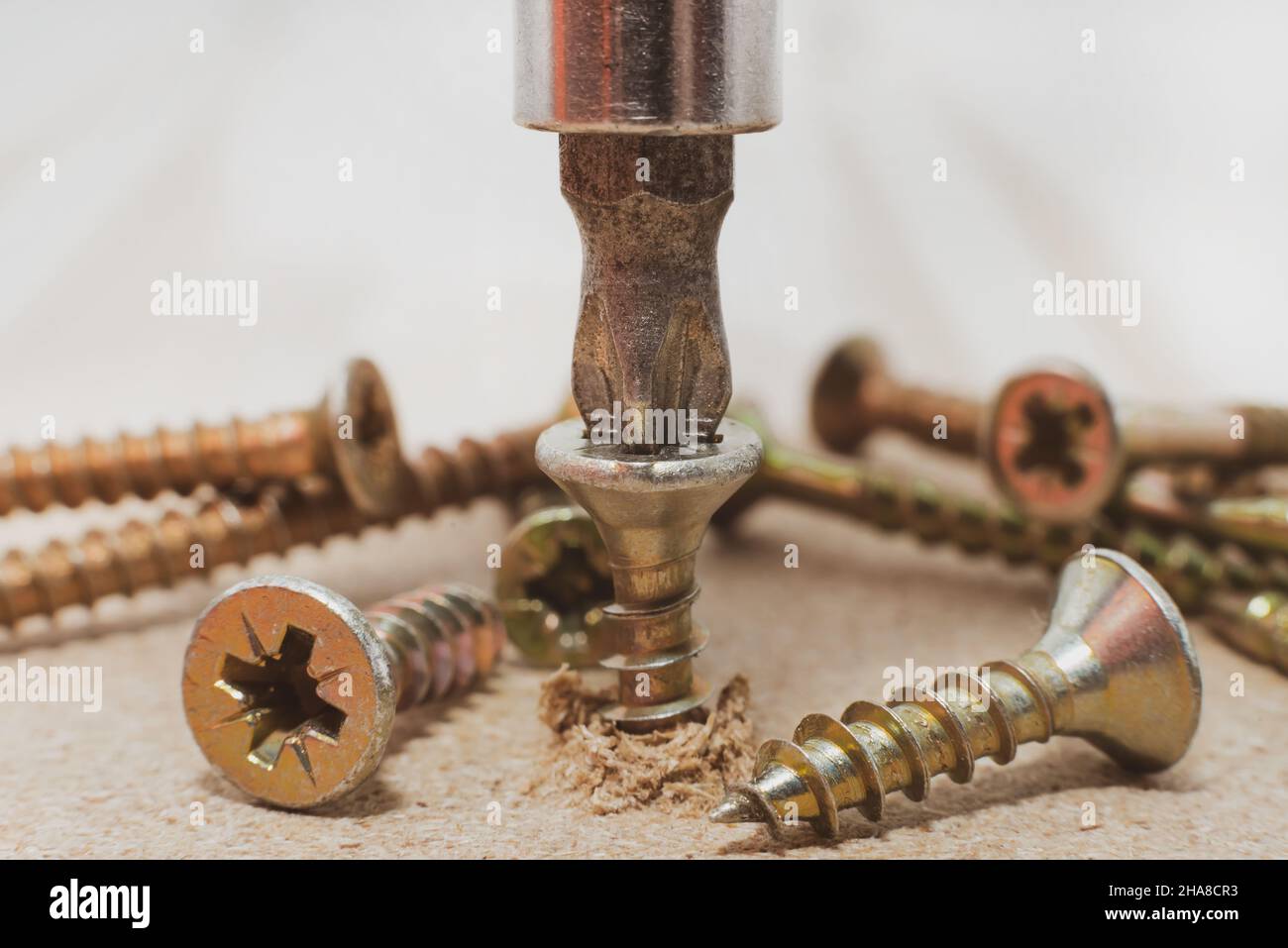 Screws. Screwdriver twists a screw into a board, furniture close-up ...
