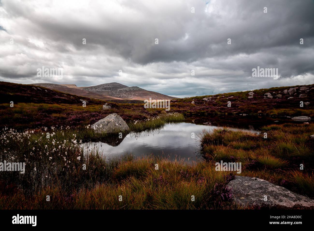 wild scenery with mountain peaks in the distance Stock Photo - Alamy