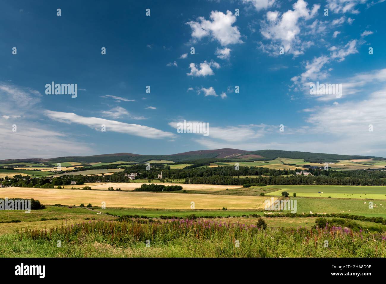 rustic summer panorama aberdeenshire scotland Stock Photo - Alamy