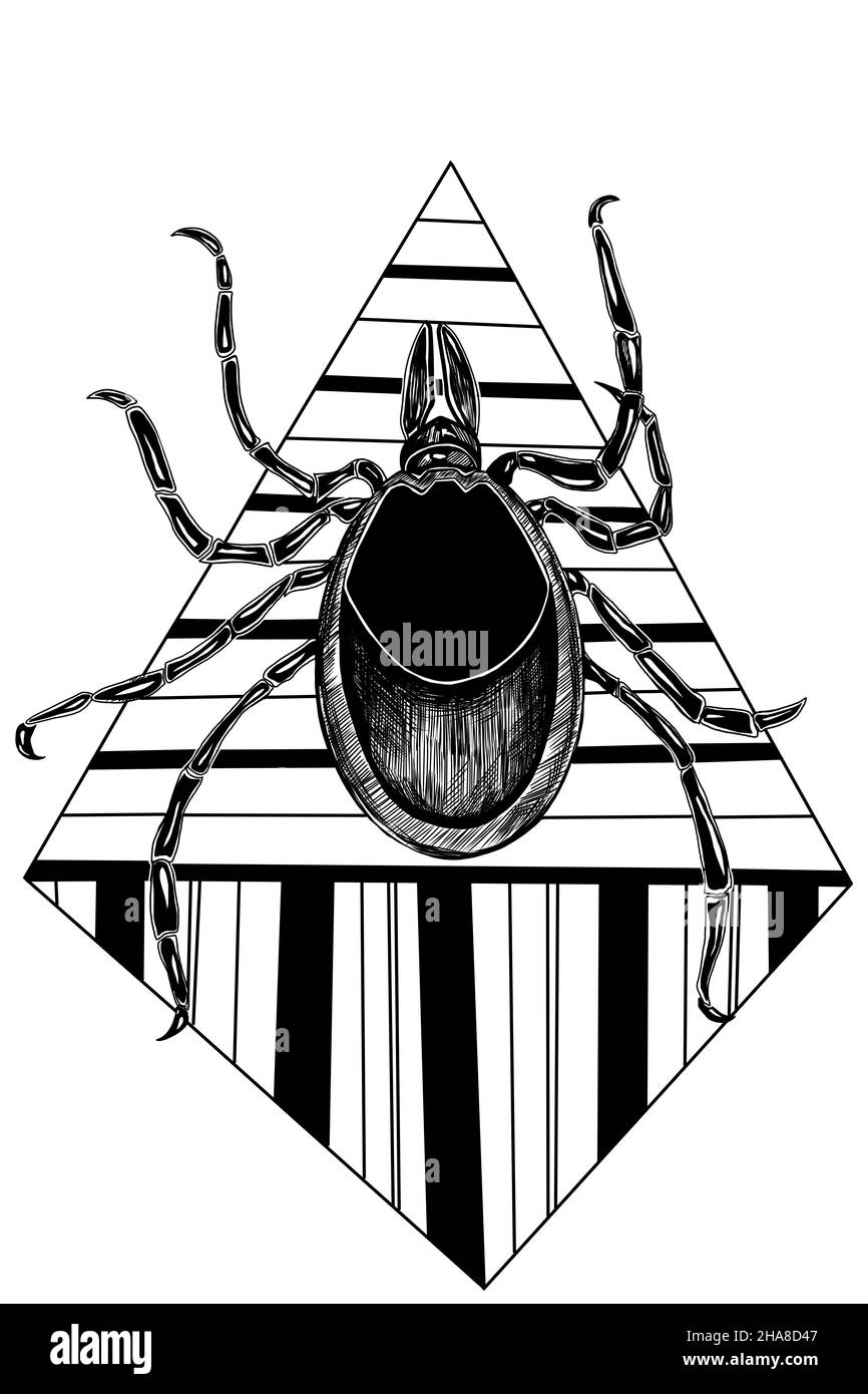 Tick Insect Black Ink Illustration Stock Photo - Alamy