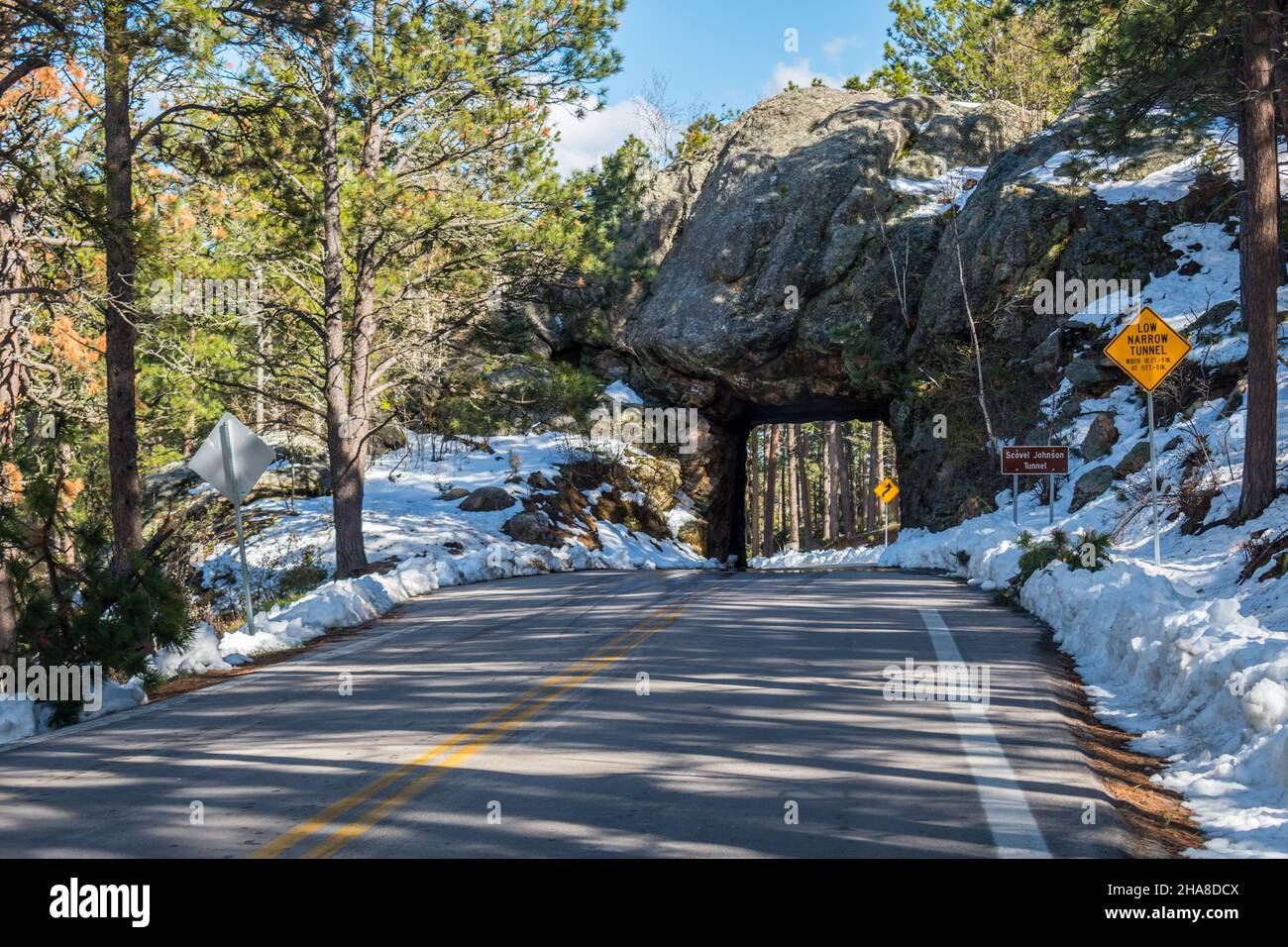 A large passageway along the Iron Mountain Road of the forest Stock ...