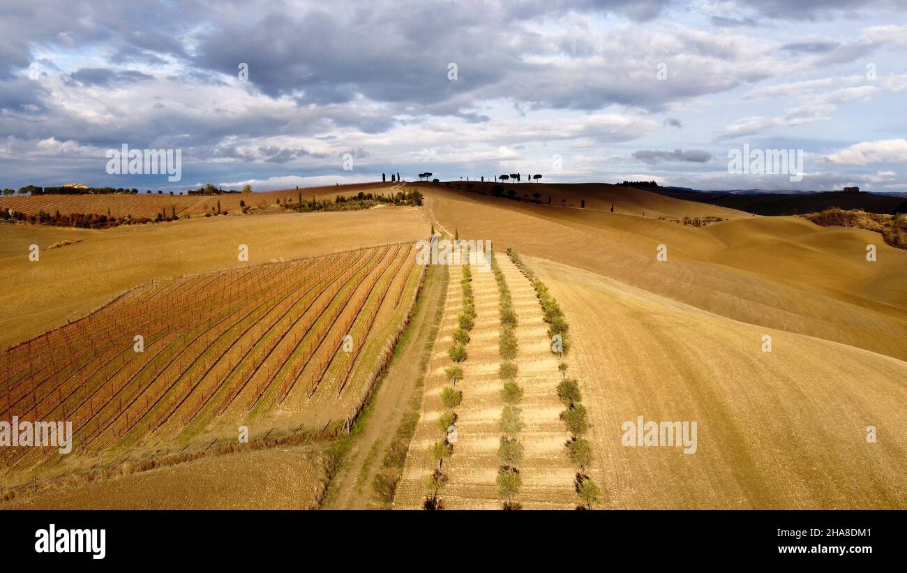 Typical rural fields and landscape in Tuscany Italy Stock Photo - Alamy