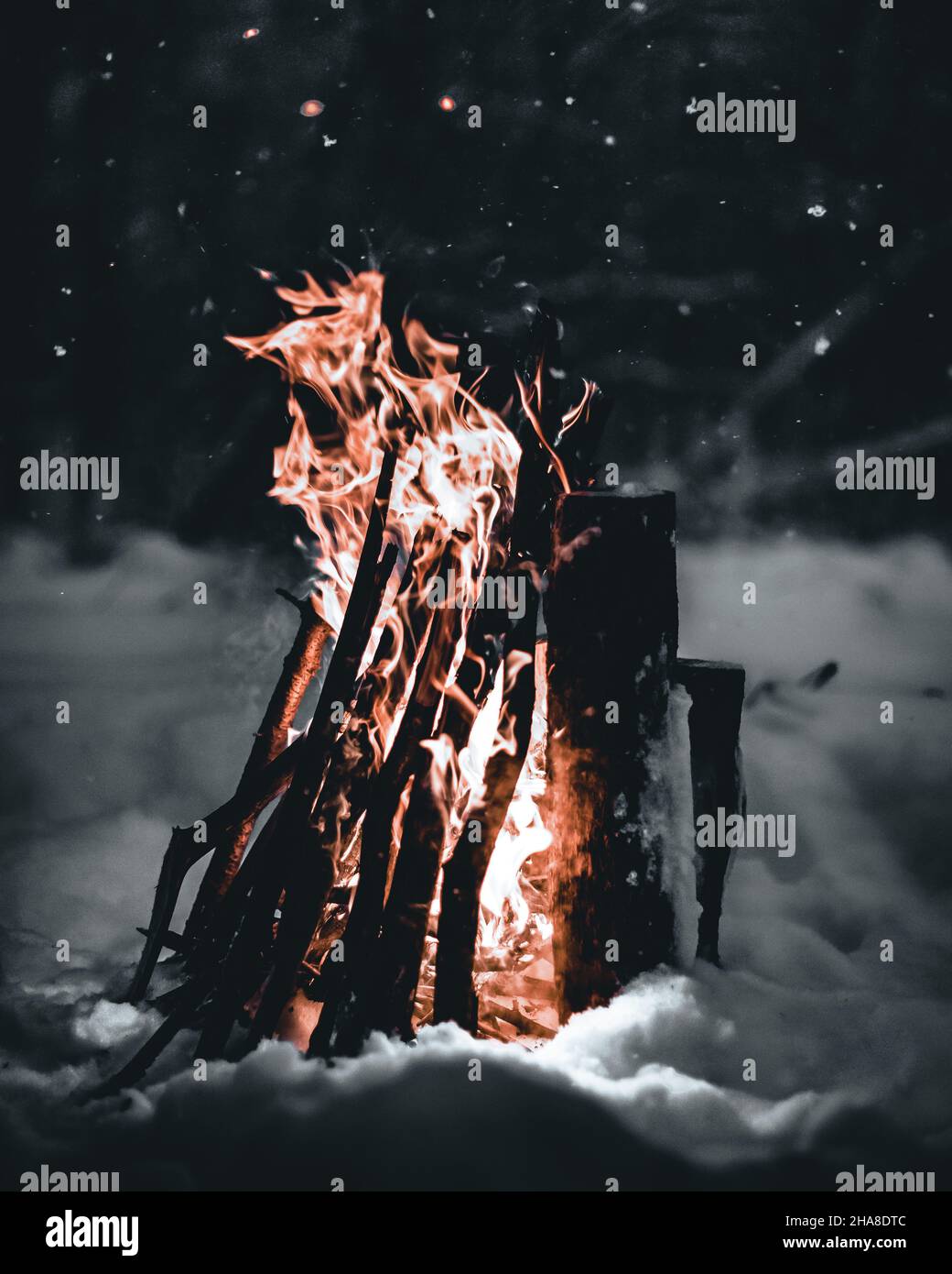 Campfire night woods hi-res stock photography and images - Alamy