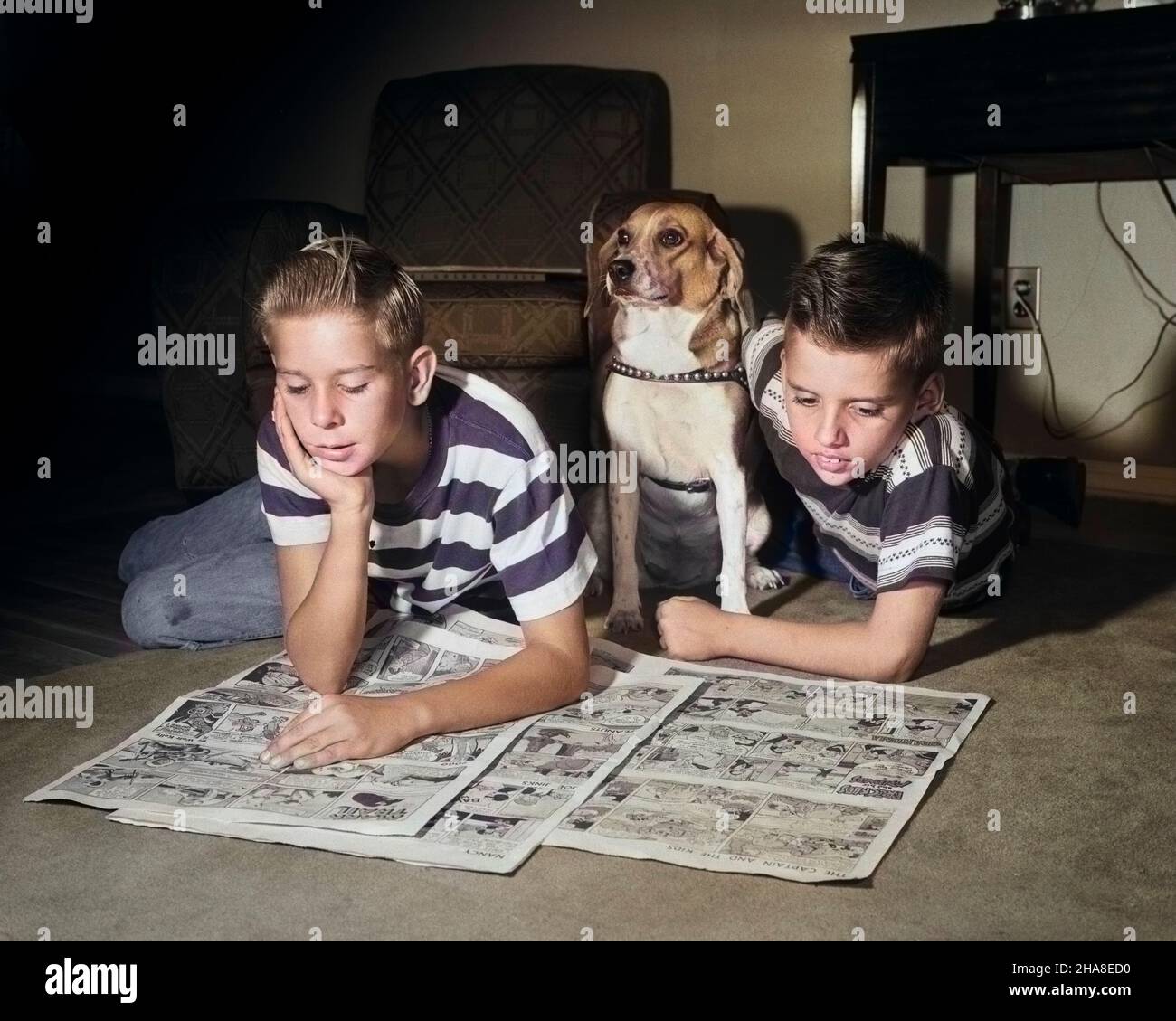 1950s TWO BOYS BROTHERS READING SUNDAY COMICS LYING ON LIVING ROOM ...