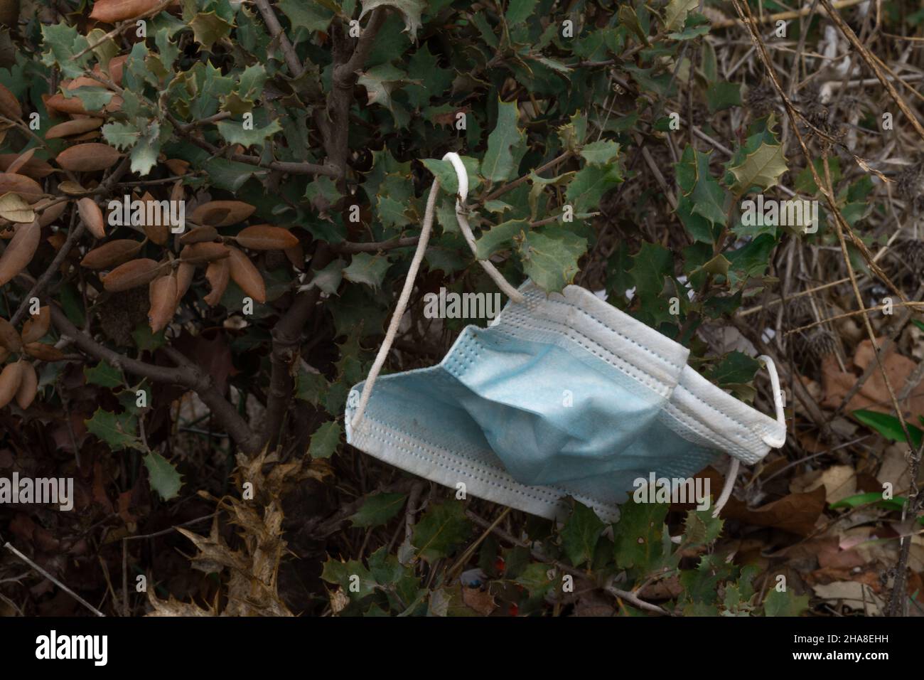 Unhygienic corona virus hi-res stock photography and images - Alamy