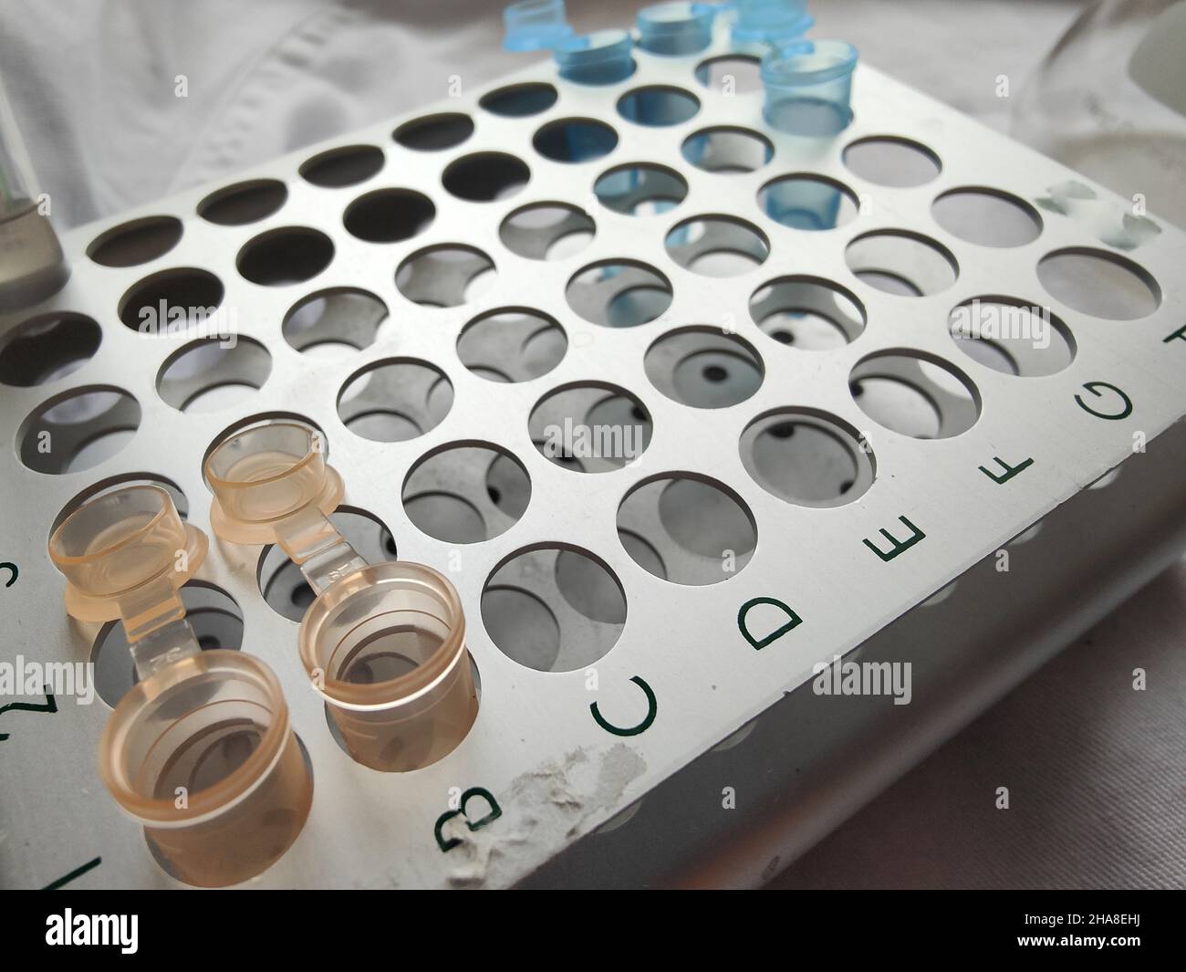 Tray for classifying laboratory samples Stock Photo - Alamy