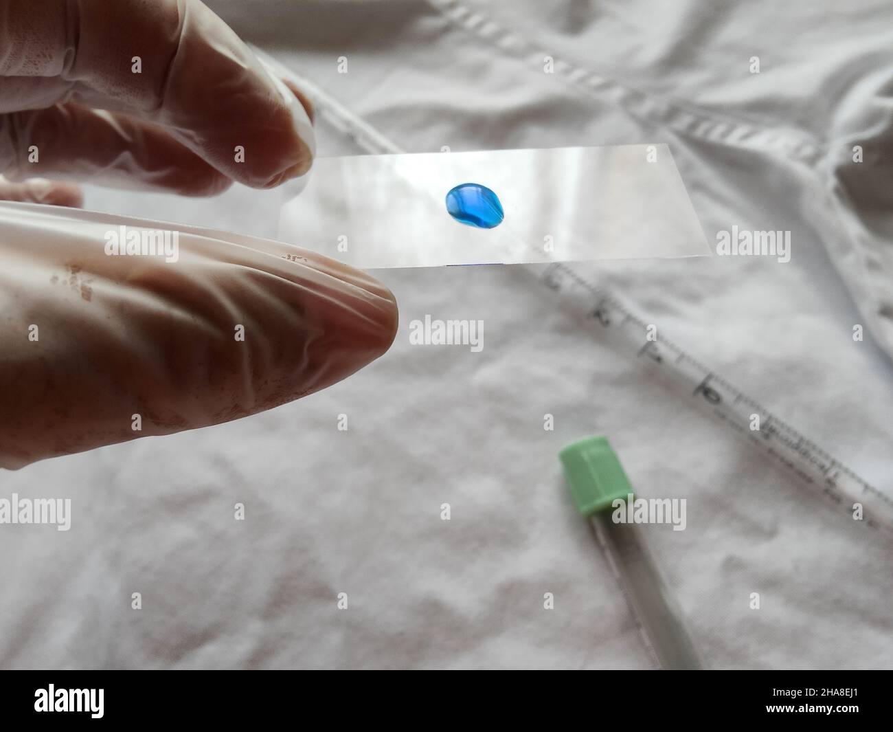 Laboratory personnel preparing a sample for microscope Stock Photo - Alamy