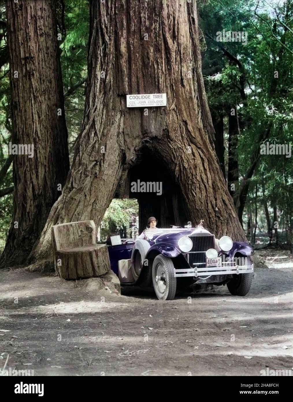 1930s cars drive down tree hi-res stock photography and images - Alamy
