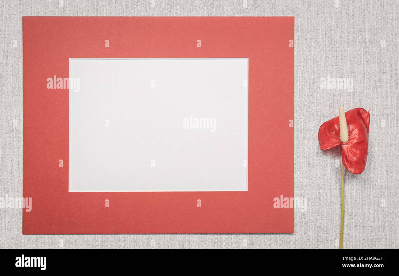 Photo frame with empty space. To write a message, invitation, wishes ...