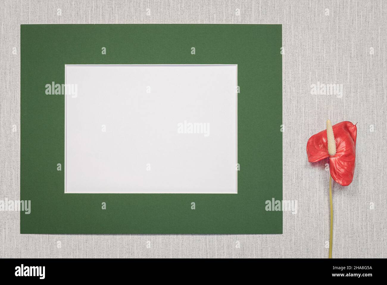 Photo frame with empty space. To write a message, invitation, wishes ...