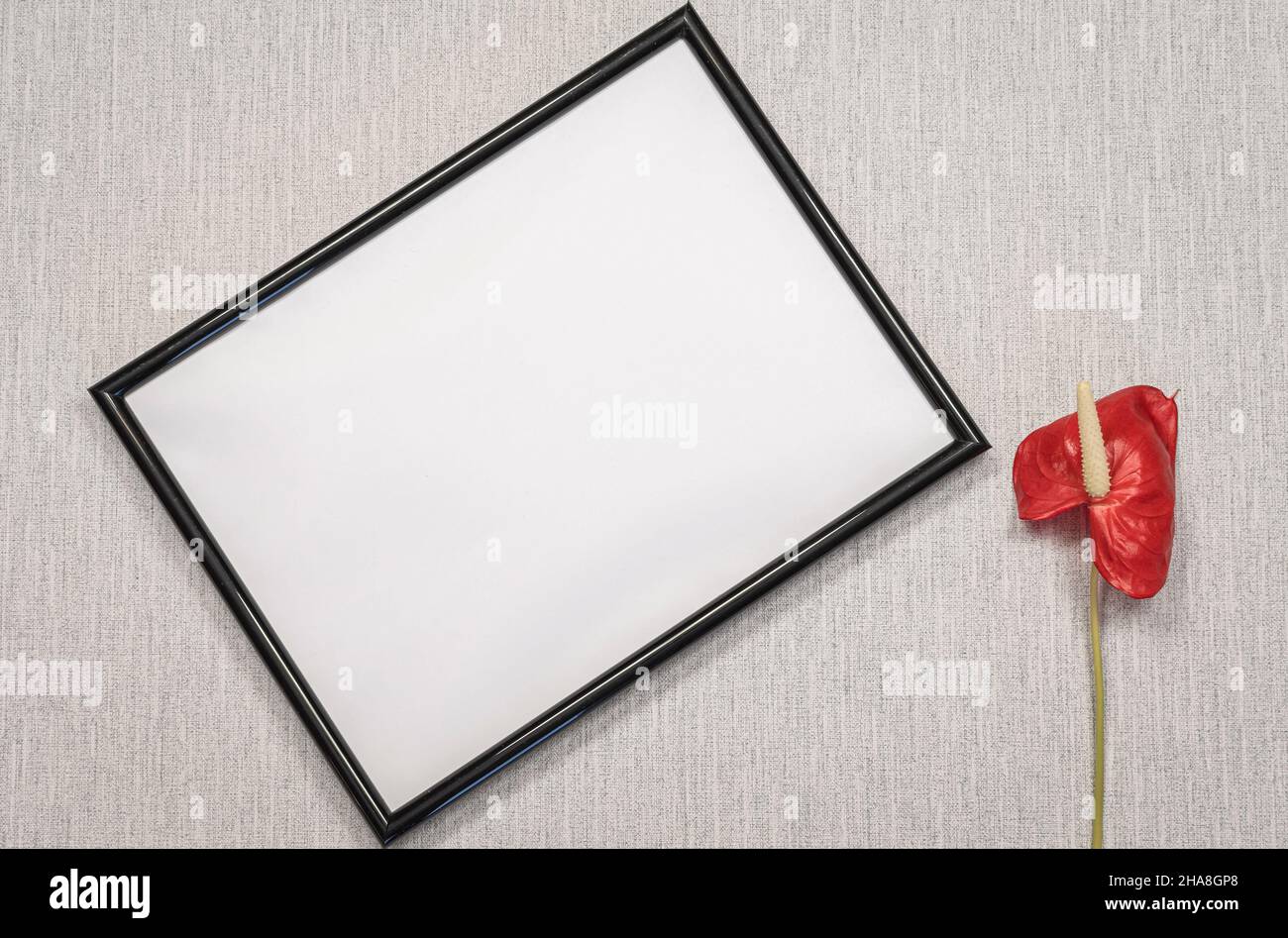 Photo frame with empty space. To write a message, invitation, wishes ...
