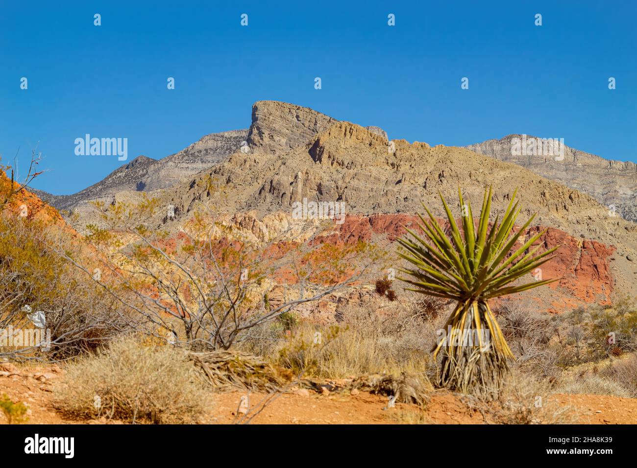 Calico basin trail hi-res stock photography and images - Alamy