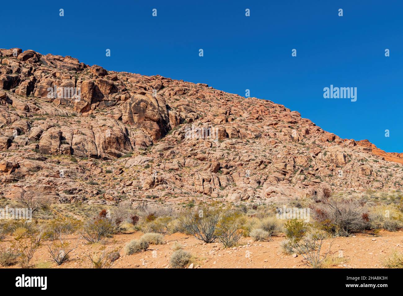 Sunny view of the landscape in Calico Basin Trail at Nevada Stock Photo ...
