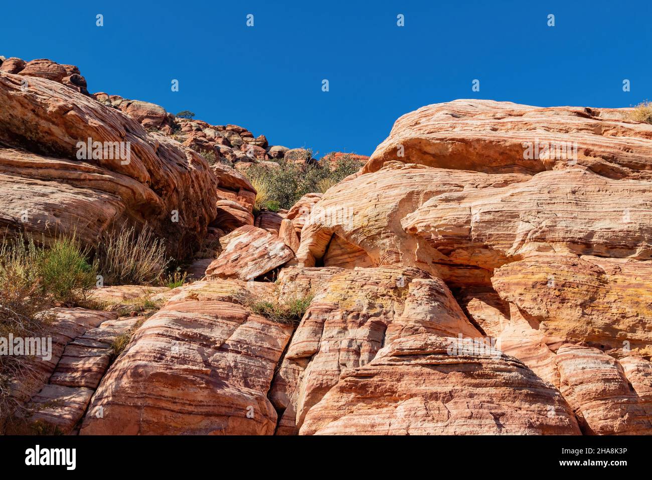 Sunny view of the landscape in Calico Basin Trail at Nevada Stock Photo ...
