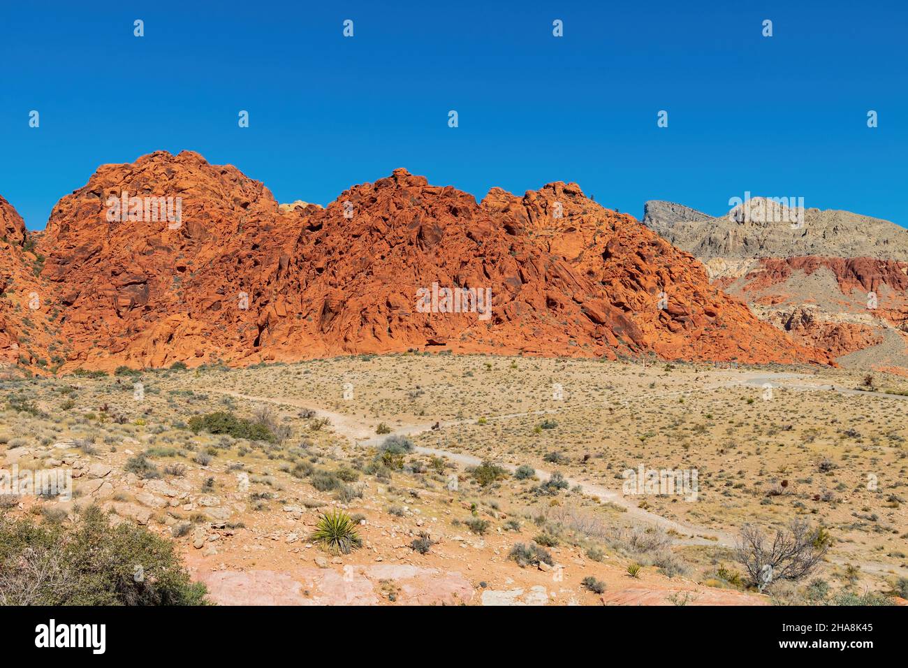 Sunny view of the landscape in Calico Basin Trail at Nevada Stock Photo ...