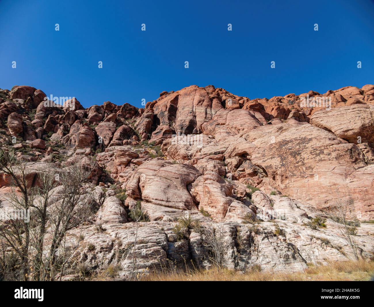 Sunny view of the landscape in Calico Basin Trail at Nevada Stock Photo ...