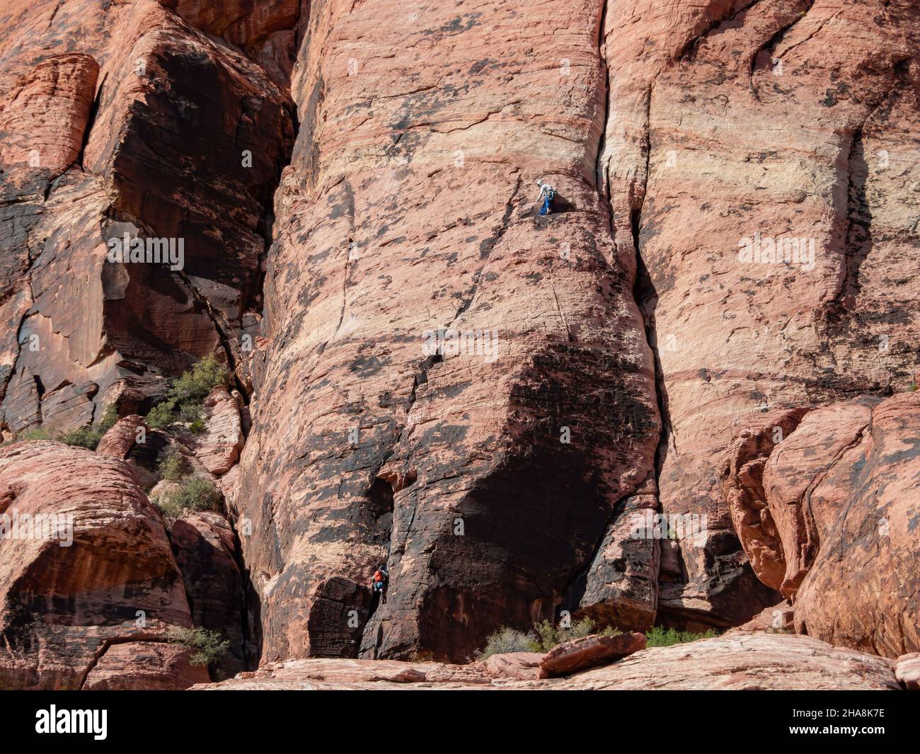 People doing rock climbing sports at Nevada Stock Photo - Alamy