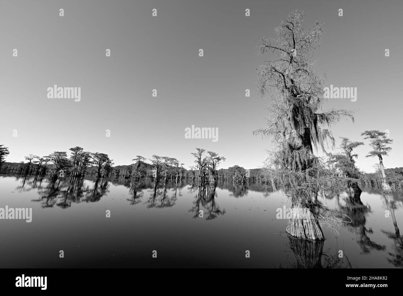 Nature preserve Black and White Stock Photos & Images - Alamy