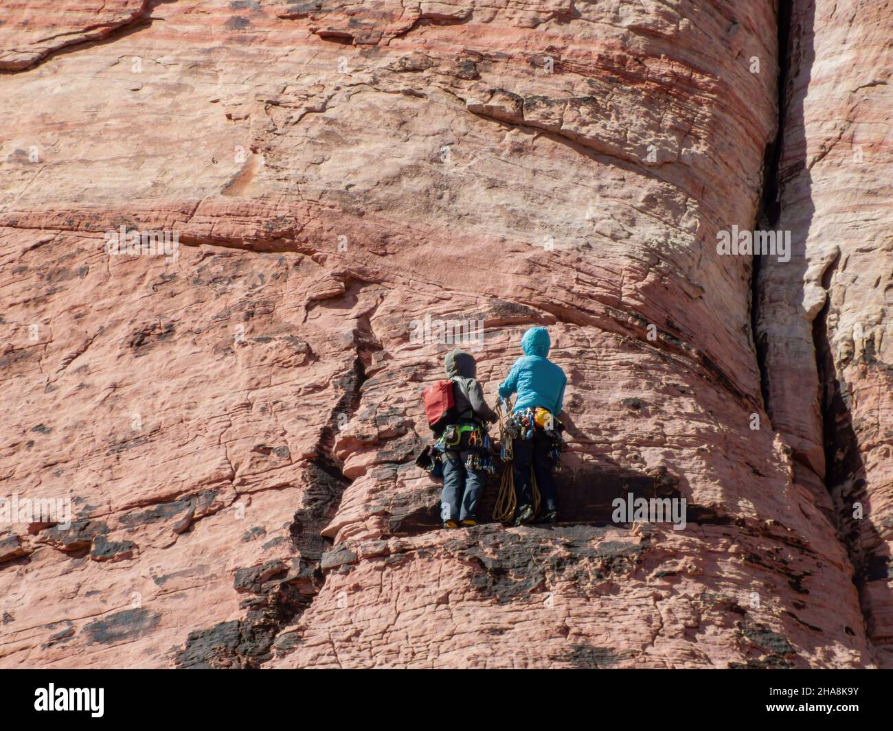 People doing rock climbing sports at Nevada Stock Photo - Alamy