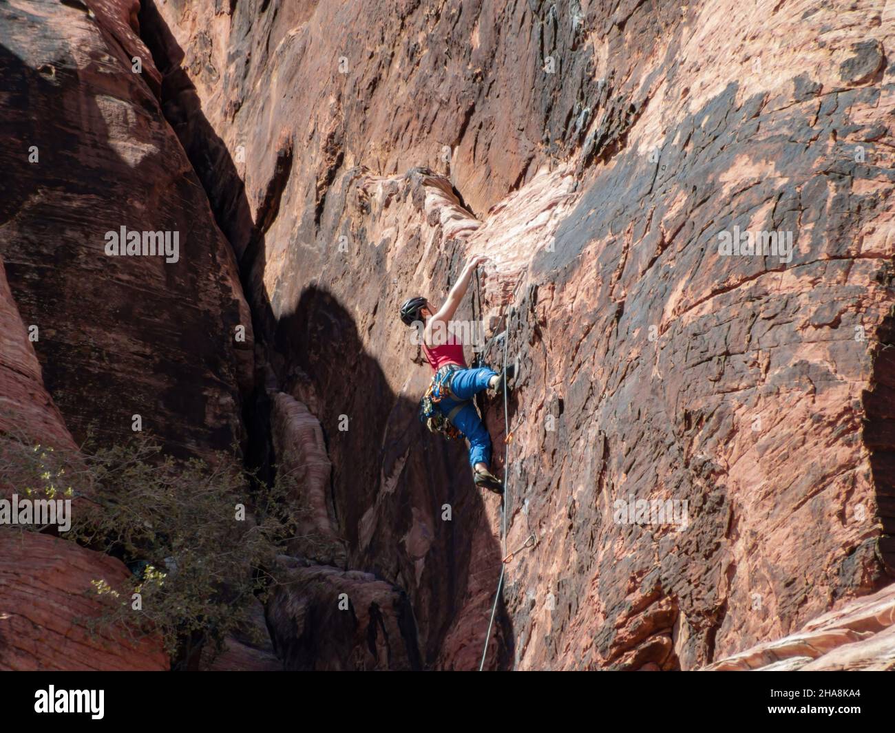 People doing rock climbing sports at Nevada Stock Photo - Alamy