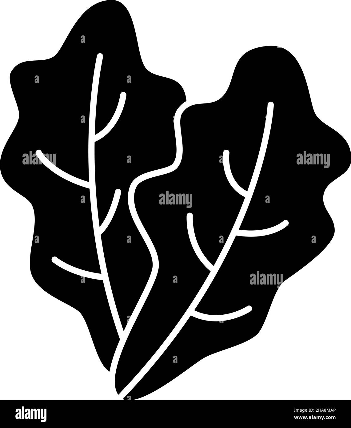 Lettuce icon Stock Vector Images - Alamy